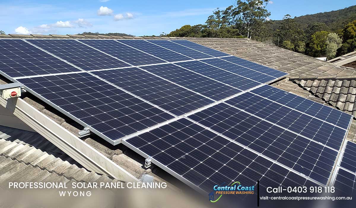 The Benefits of Hiring Professional Solar Panel Cleaners for Your Home