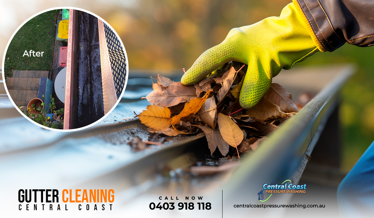 Top 5 Ways Professional Gutter Cleaning Services Can Transform Your Home