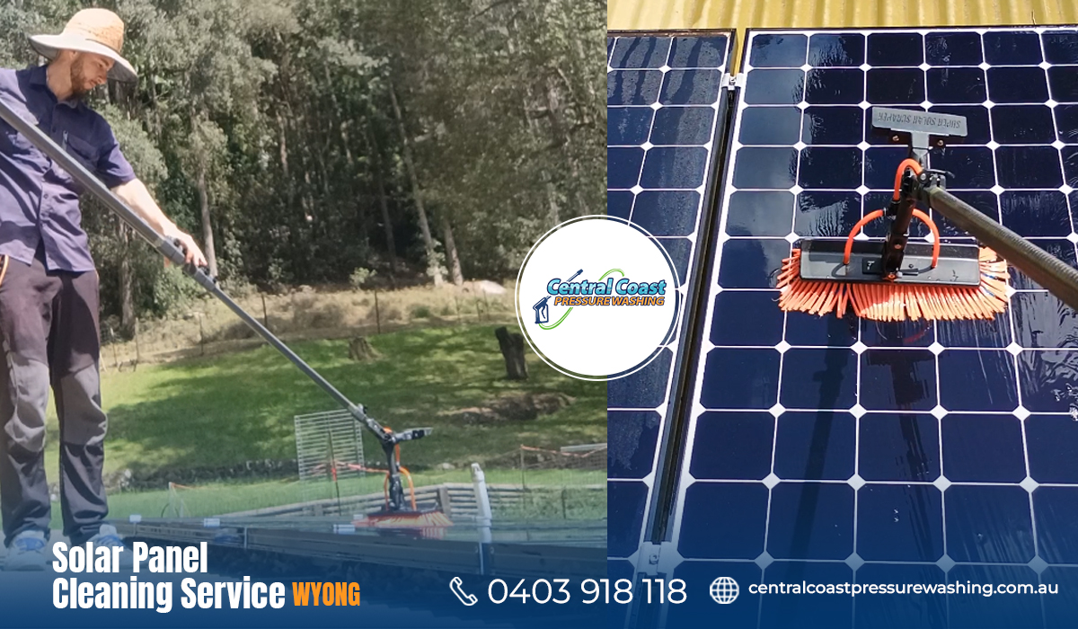 Solar Panel Cleaning: Everything You Need to Know