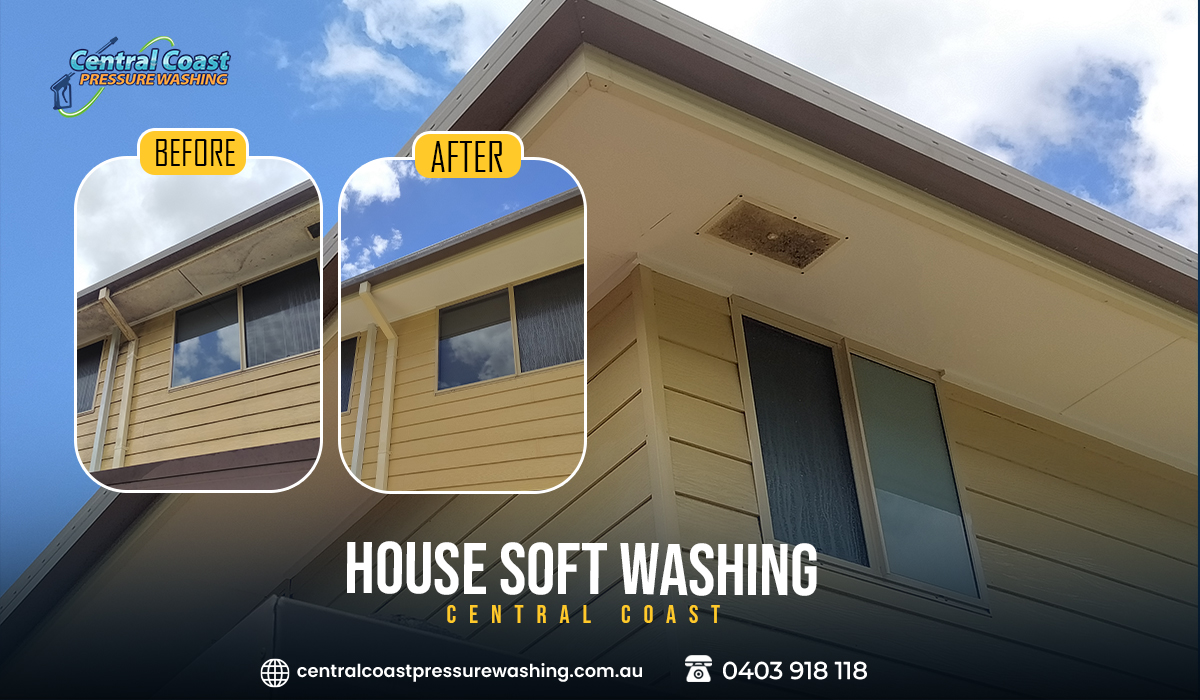 The Ultimate Guide to House Soft Washing: Everything You Need to Know